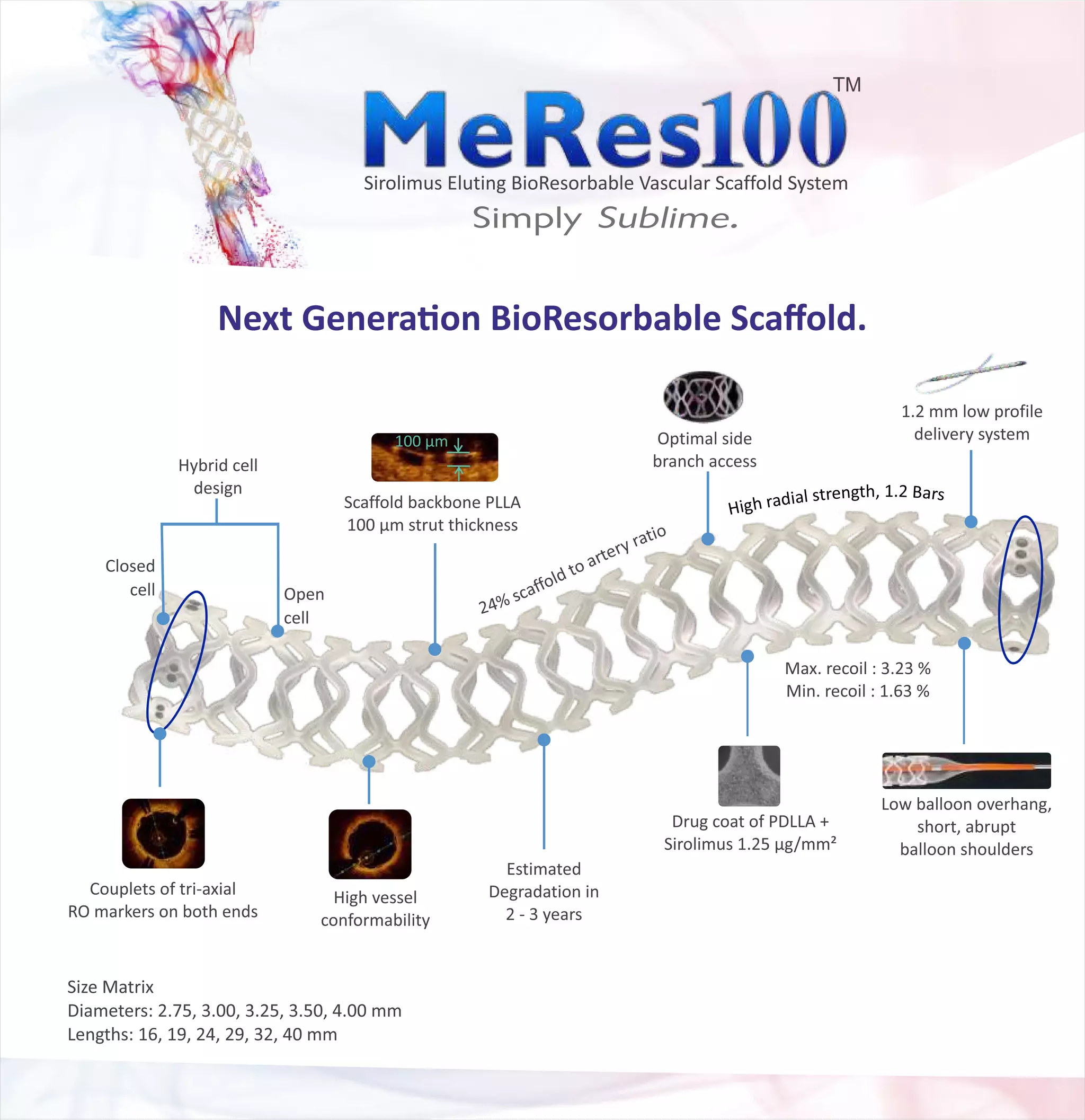 MeRes100 Bioresorbable Scaffolds Brochure | PDF