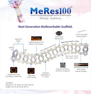 MeRes100 Bioresorbable Scaffolds Brochure | PDF
