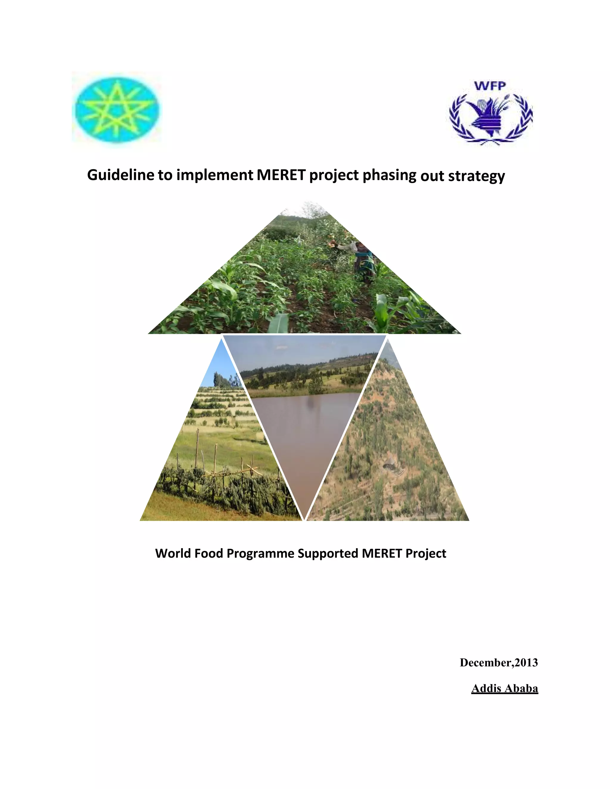 Meret phasing out implementation guide revised | PDF