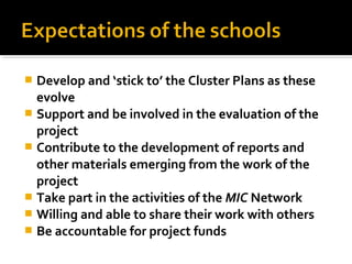 Swan Cluster Focus | PPT