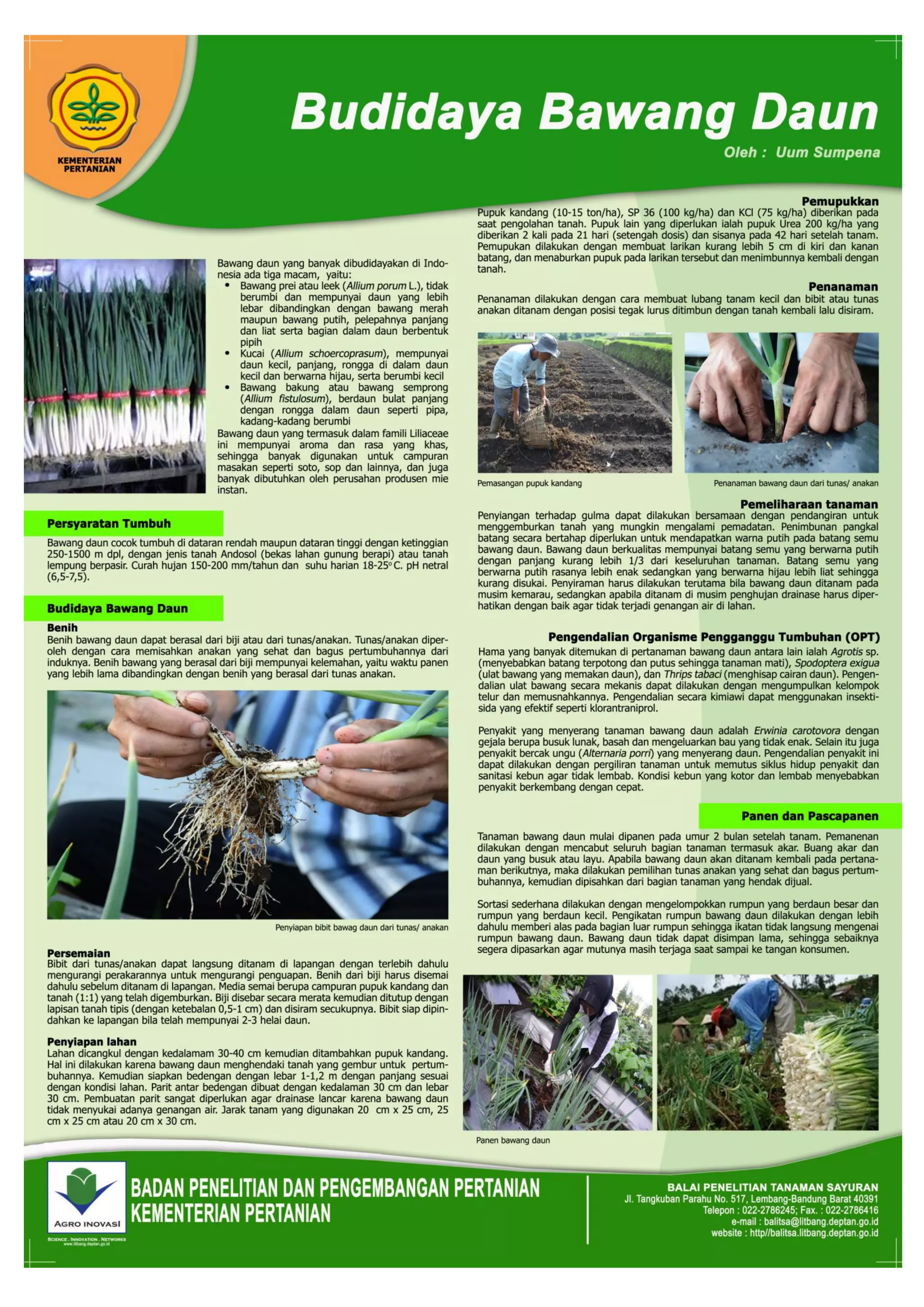 Poster Budidaya Tanaman Hortikultura | PDF