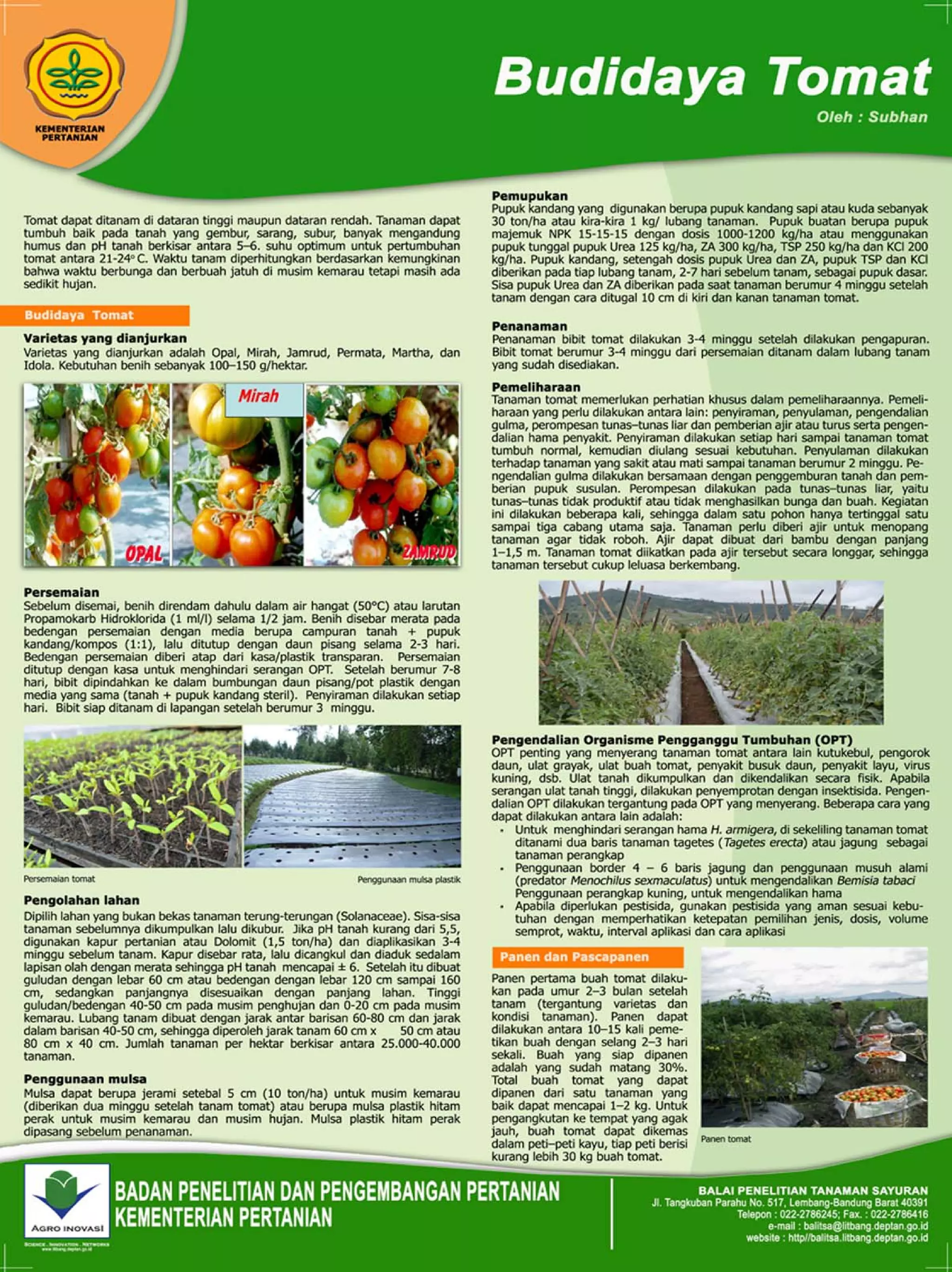 Poster Budidaya Tanaman Hortikultura | PDF