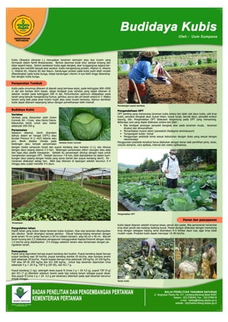 Poster Budidaya Tanaman Hortikultura | PDF