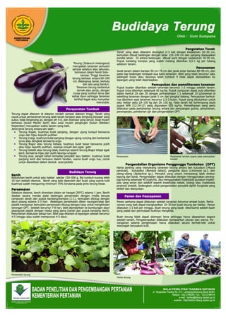 Poster Budidaya Tanaman Hortikultura | PDF