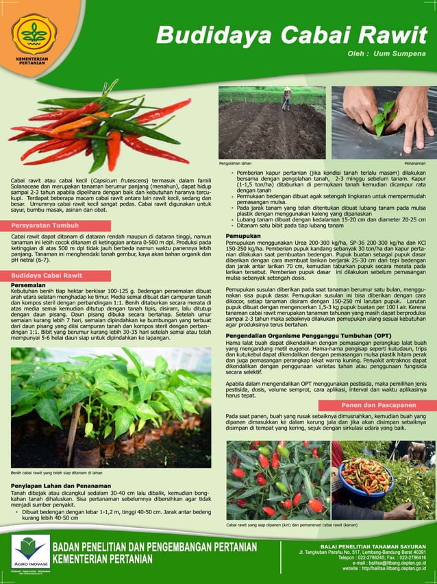 Poster Budidaya Tanaman Hortikultura | PDF