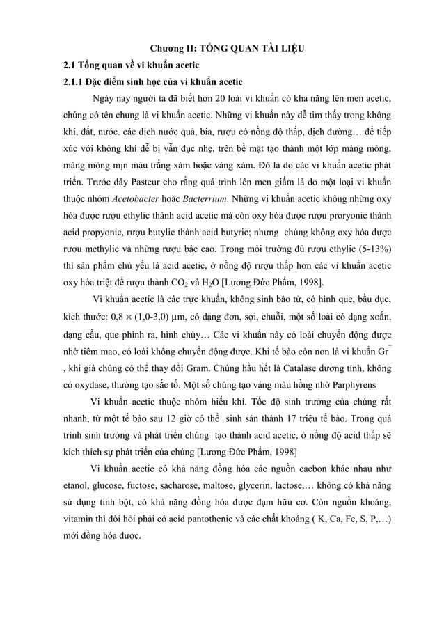 Luận văn: Nghiên cứu lên men giấm trái cây theo phương pháp hồi lưu cố định vi khuẩn trên giá ...