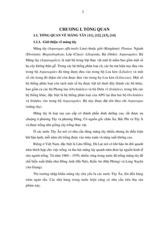 Đề tài: Nghiên cứu sản xuất đồ hộp măng tây muối chua, HAY | PDF