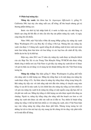 Đề tài: Nghiên cứu sản xuất đồ hộp măng tây muối chua, HAY | PDF