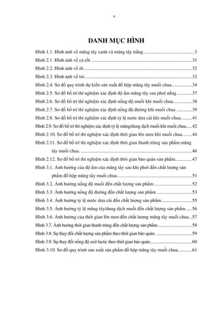 Đề tài: Nghiên cứu sản xuất đồ hộp măng tây muối chua, HAY | PDF