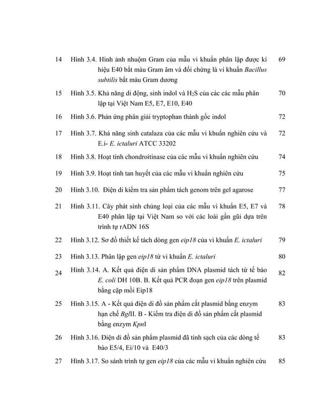 Luận án: Nghiên cứu xác định tác nhân gây bệnh gan thận mủ trên cá tra Việt Nam Pangasius ...