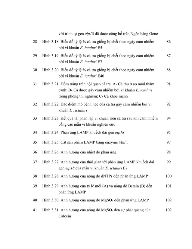 Luận án: Nghiên cứu xác định tác nhân gây bệnh gan thận mủ trên cá tra Việt Nam Pangasius ...