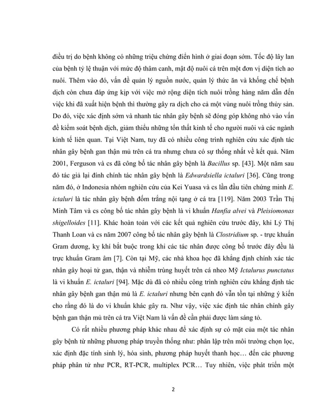 Luận án: Nghiên cứu xác định tác nhân gây bệnh gan thận mủ trên cá tra Việt Nam Pangasius ...