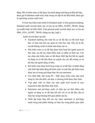 Đề tài: Kiểm toán trong Fine-Grained Auditing, HAY | PDF