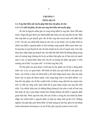 Luận án: Mô bệnh học, hóa mô miễn dịch, đột biến gen BRAF V600E trong ...