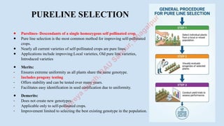 Breeding Methods in Self Pollinated Crops | PPTX