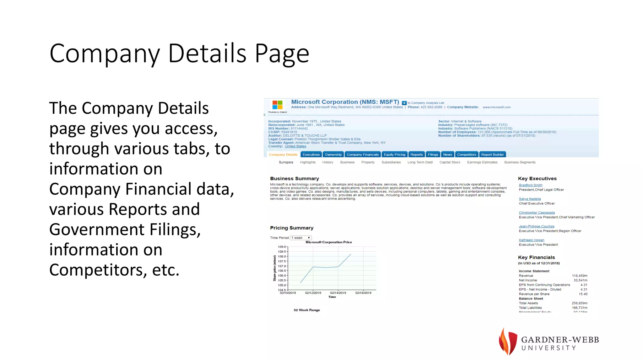 Mergent Online Searching | PDF
