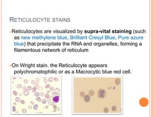 Reticulocyte Wright Stain
