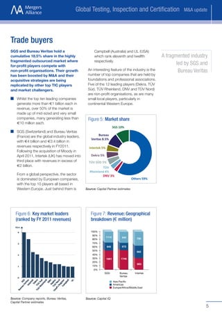 Mergers Alliance Tic Report | PDF