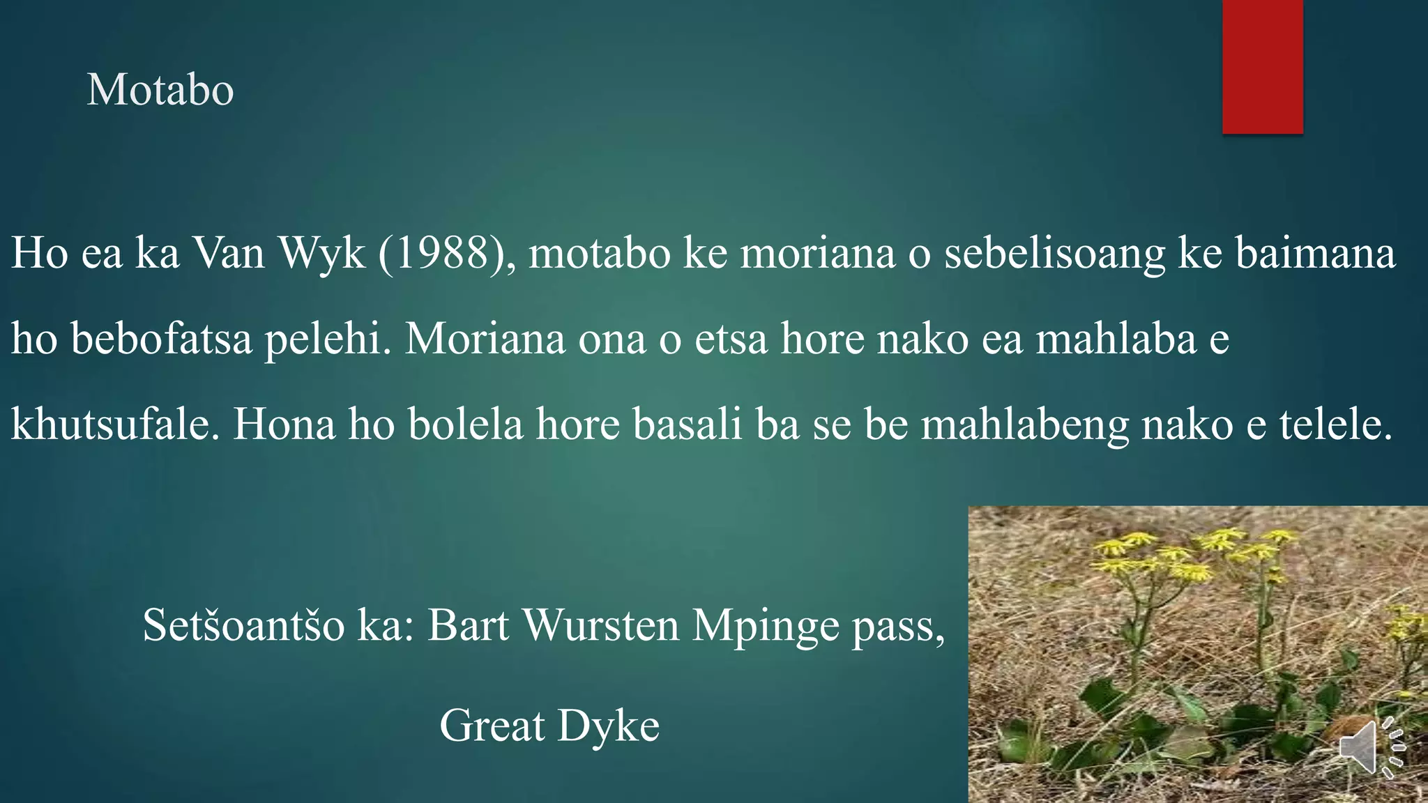 Meriana ea basali le baroetsana ba basotho video slide | PPTX