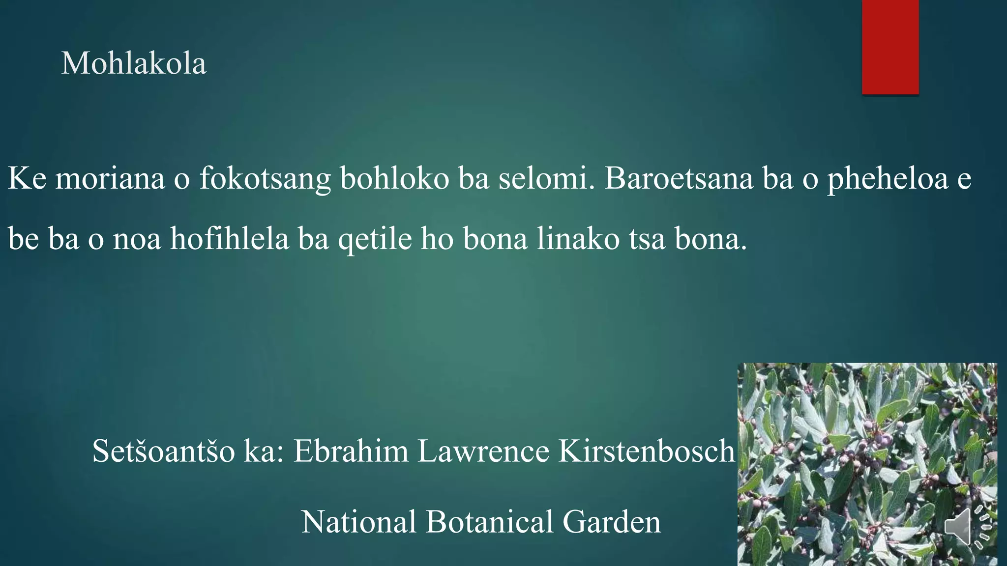 Meriana ea basali le baroetsana ba basotho video slide | PPTX