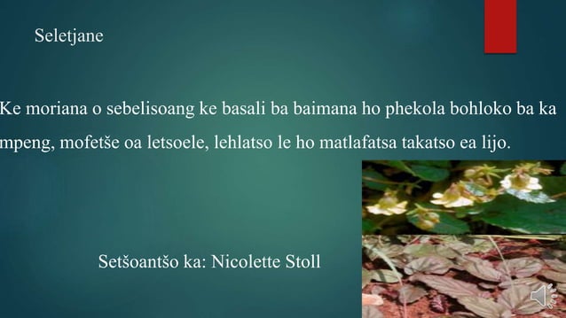Meriana ea basali le baroetsana ba basotho video slide | PPTX