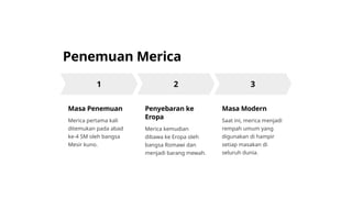 Merica-Sejarah-dan-Manfaat kegunaan.pptx