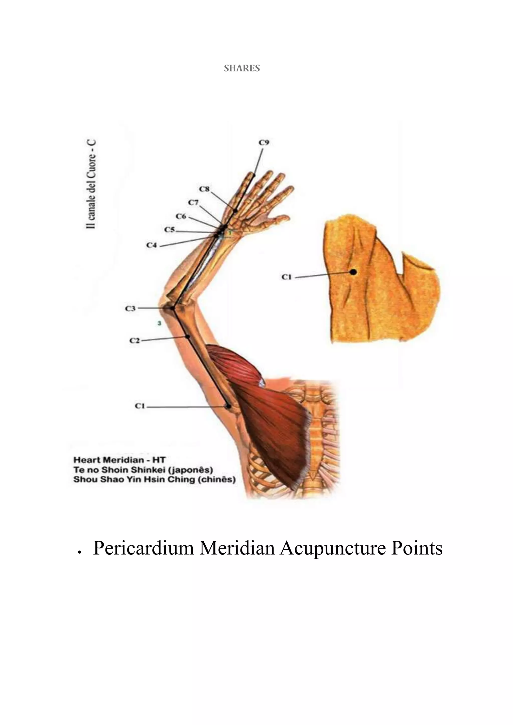 MERIDIAN JANTUNG PERICARDIUM.docx