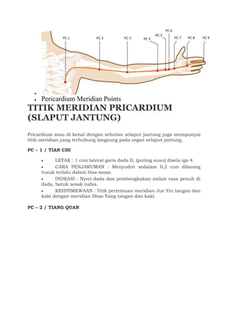 MERIDIAN JANTUNG PERICARDIUM.docx