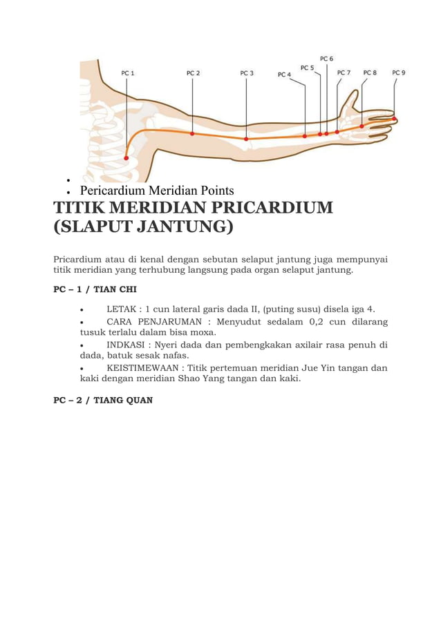 MERIDIAN JANTUNG PERICARDIUM.docx