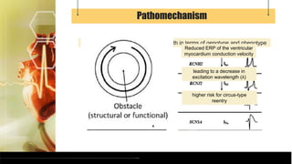 Meridian_PPT_SQTS_dr Hidayatullah edit.ppt