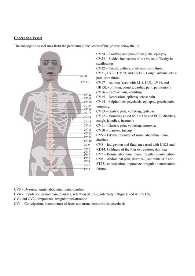 Meridians | PDF | Digestive Disorders | Diseases and Conditions