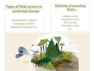 Merin tp- surveying | PPT