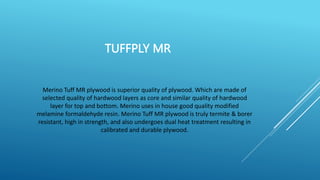 Merino Plywood | PPTX