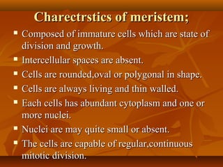 Meristem | PPT