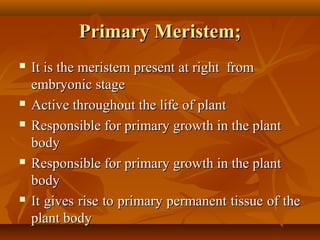 Meristem | PPT