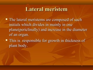 Meristem Definition