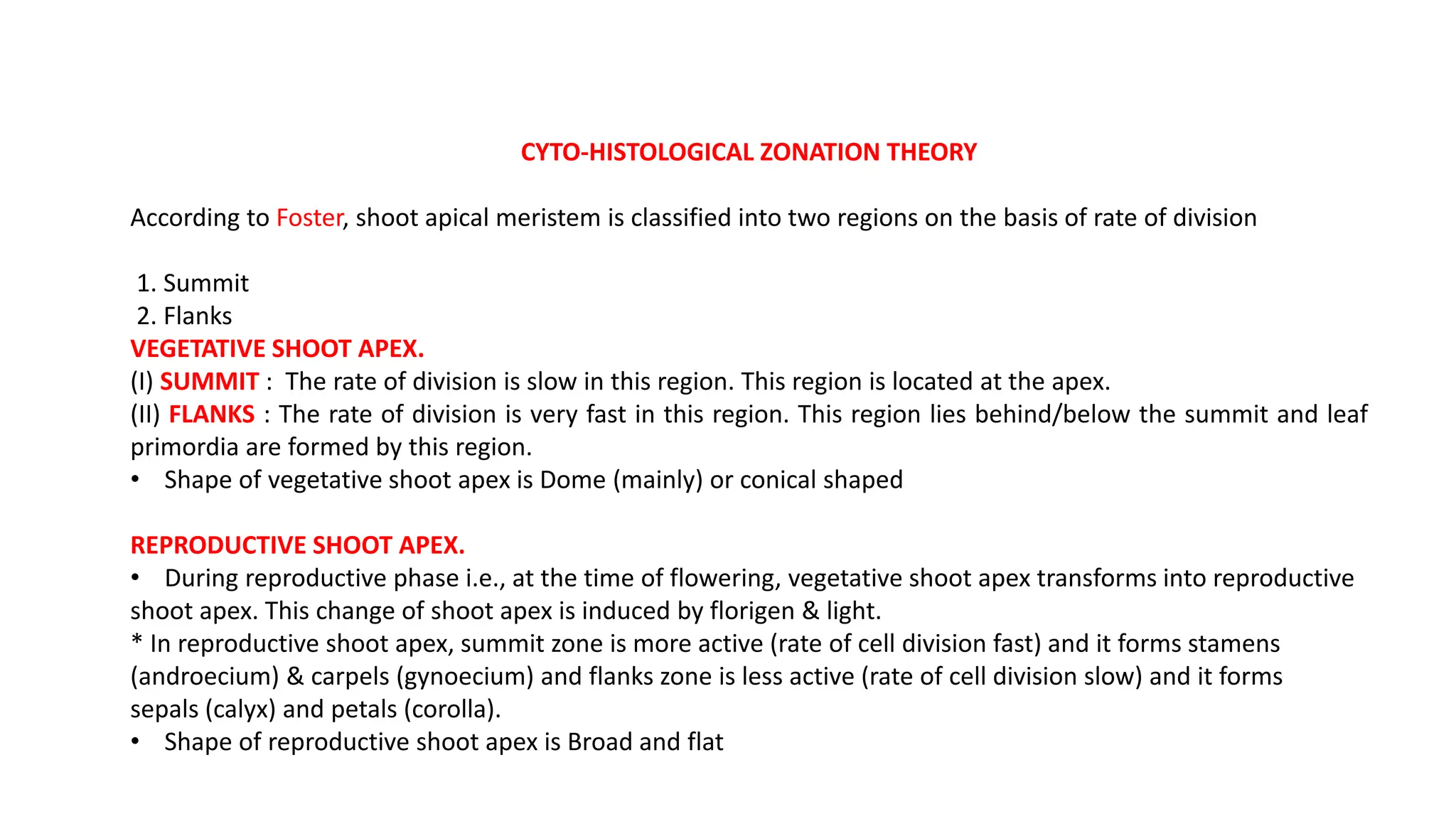 COMPOSITION/ORGANISATION OF APICAL MERISTEM.pptx