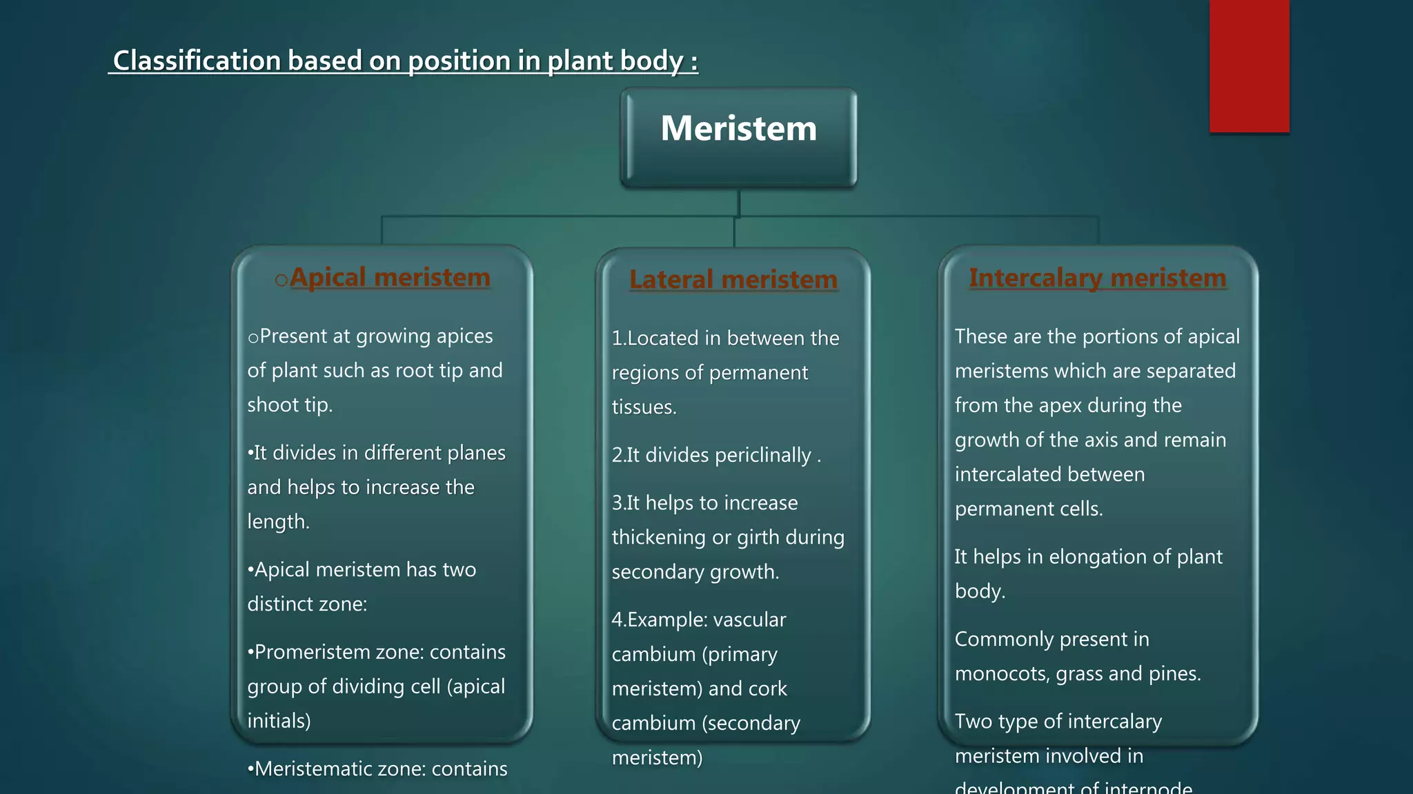 Meristematic tissue types and classification. | PPTX