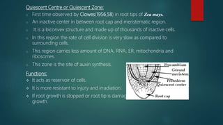 Meristematic tissue types and classification. | PPTX