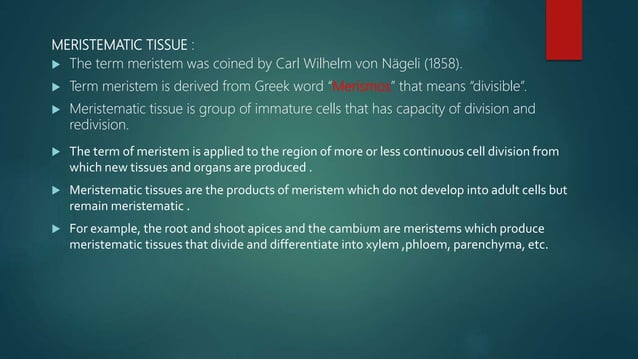 Meristematic tissue types and classification. | PPTX