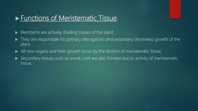 Meristematic tissue types and classification. | PPTX