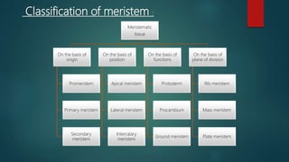Meristematic tissue types and classification. | PPTX