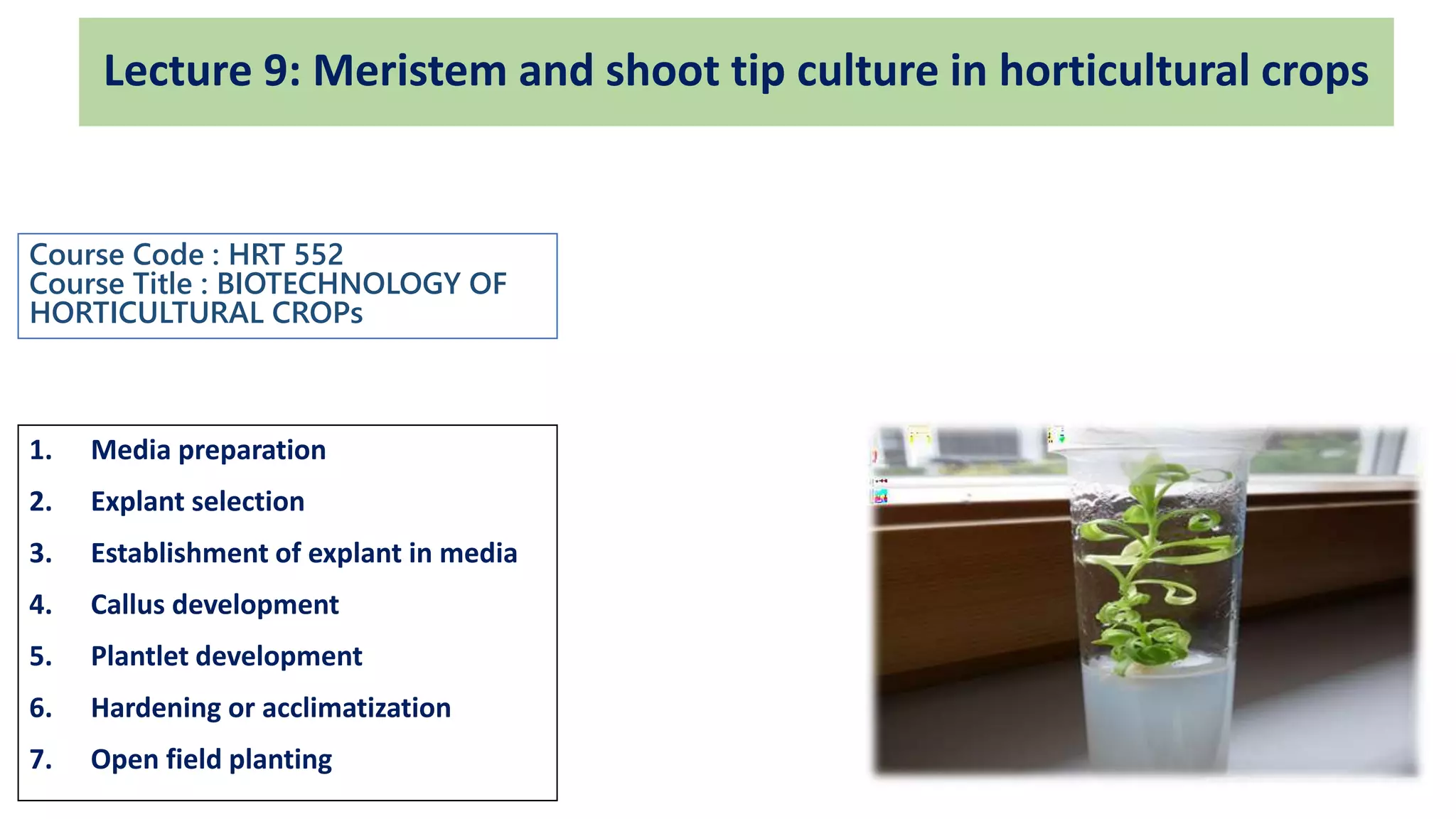 Meristem and shoot tip culture in horticultural crops | PPTX