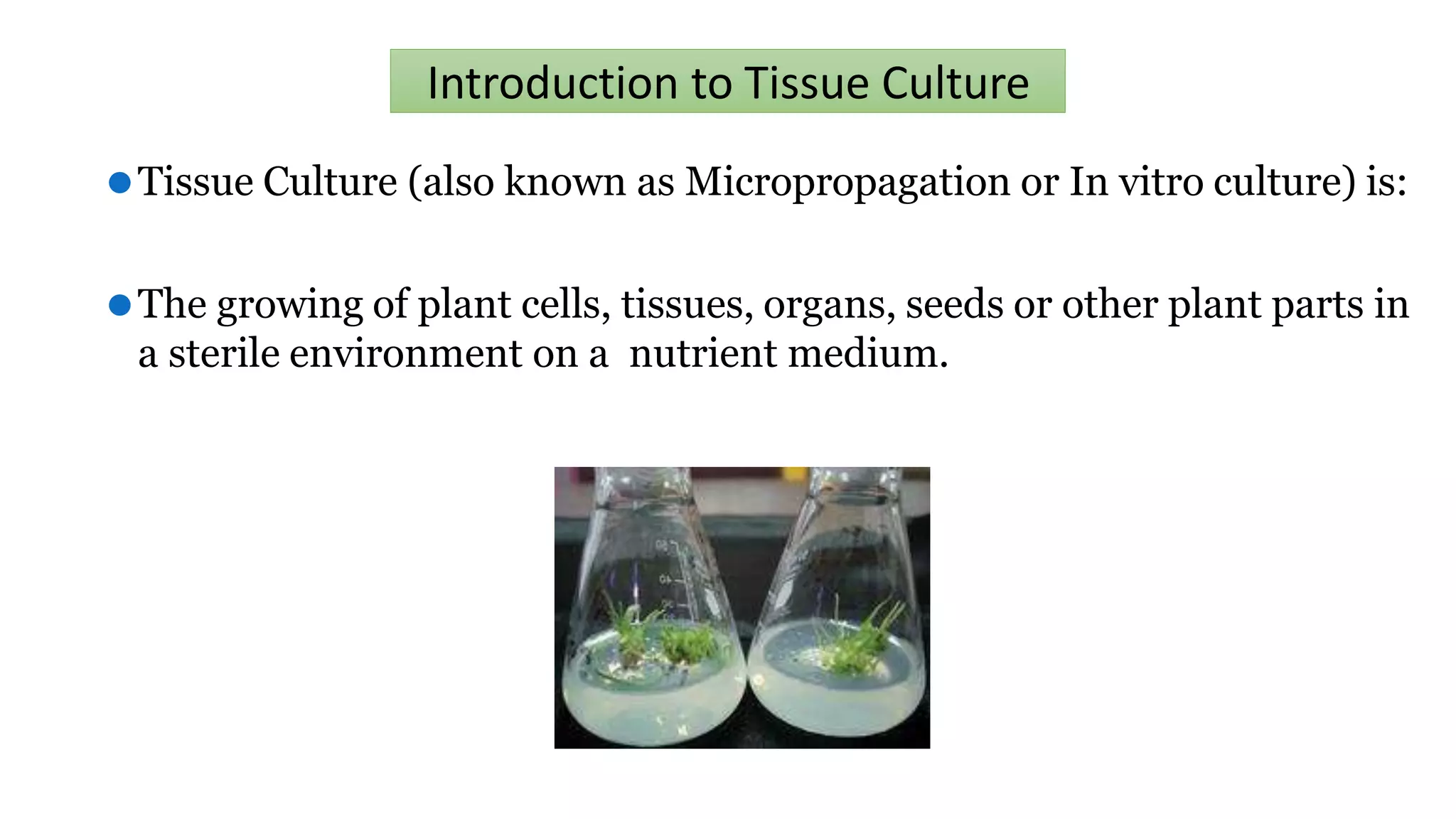 Meristem and shoot tip culture in horticultural crops | PPTX