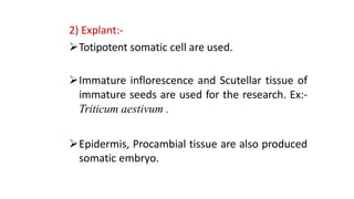 Meristem and shoot tip culture in horticultural crops | PPTX