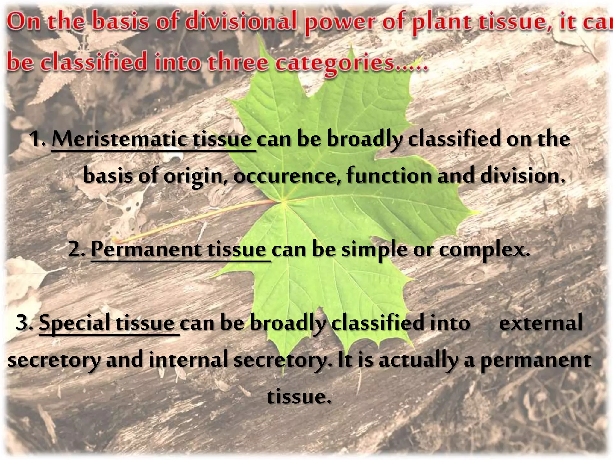 Meristematic tissue | PPTX