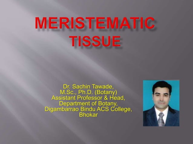Meristematic tissue | PPTX