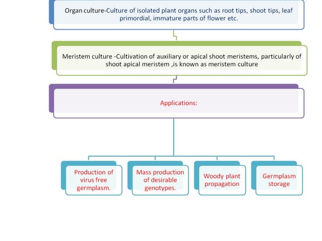 Meristem culture | PPT