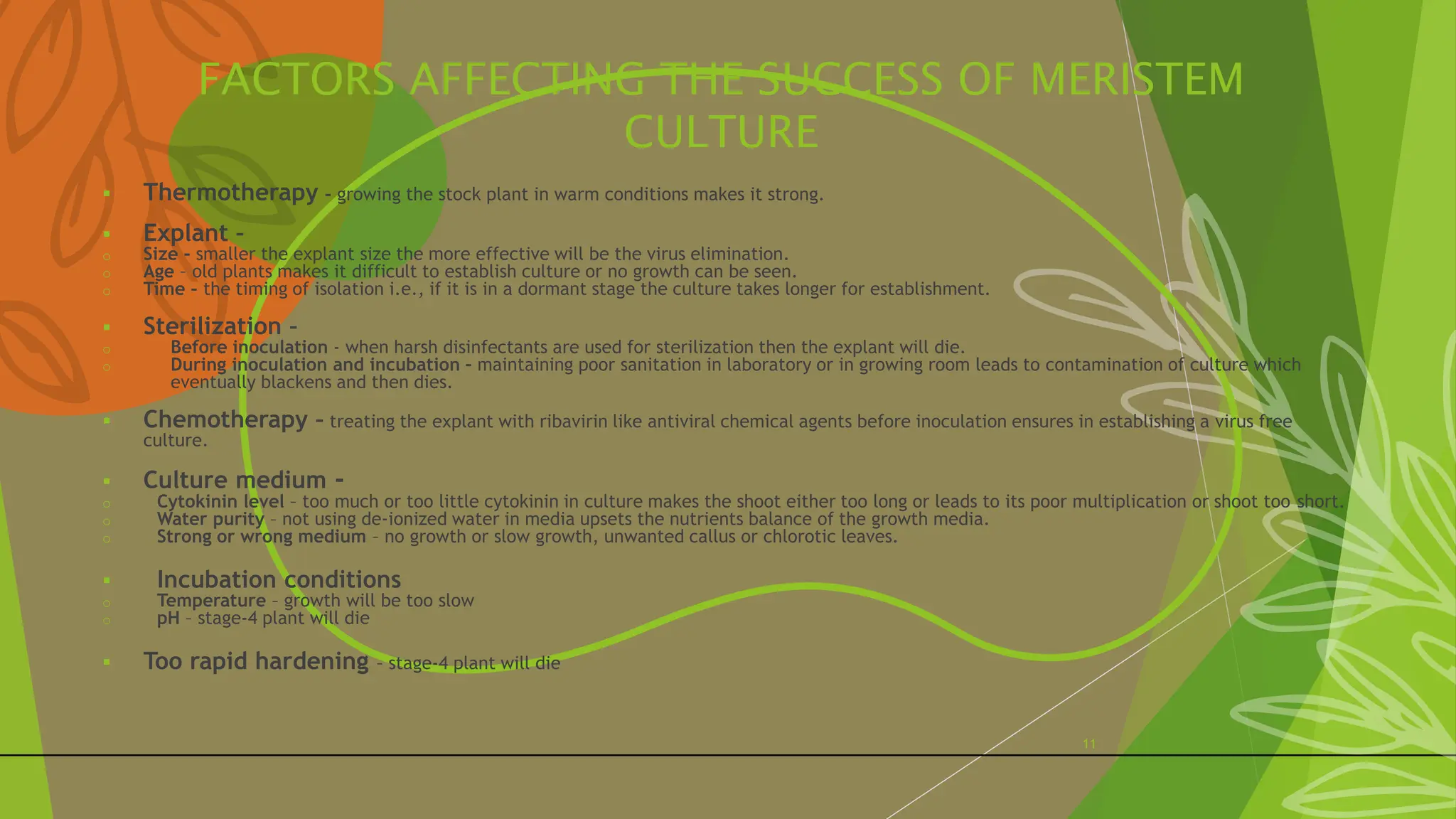 MERISTEM CULTURE / SHOOT TIP CULTURE ppt-1.pptx