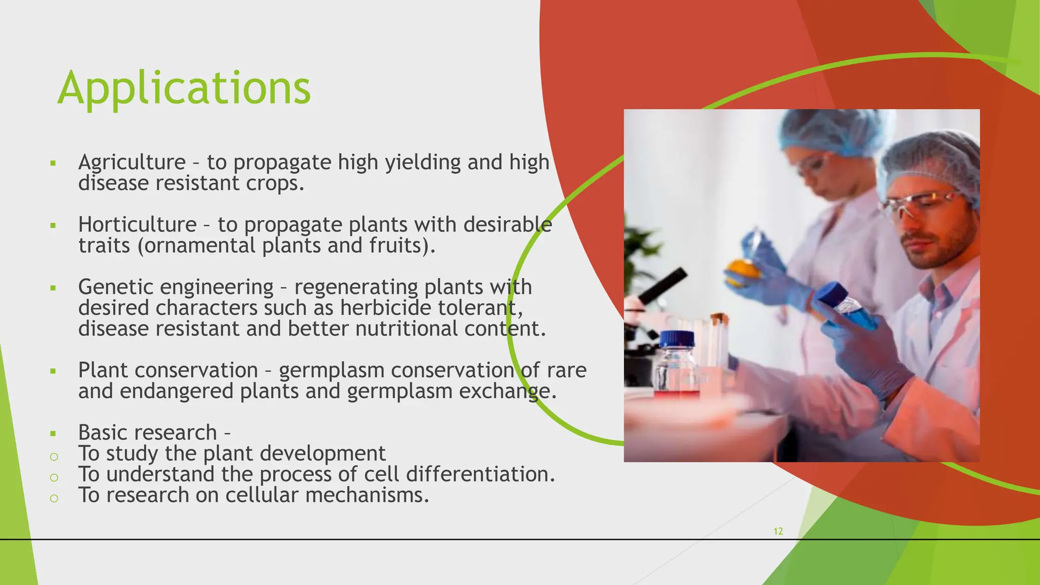 MERISTEM CULTURE / SHOOT TIP CULTURE ppt-1.pptx